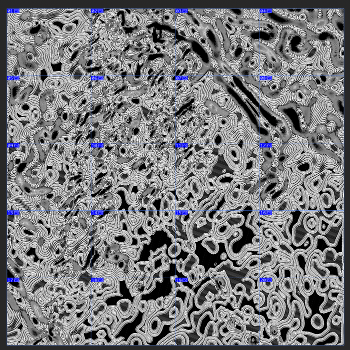 Virginia Dal Magro - interview - Open Call